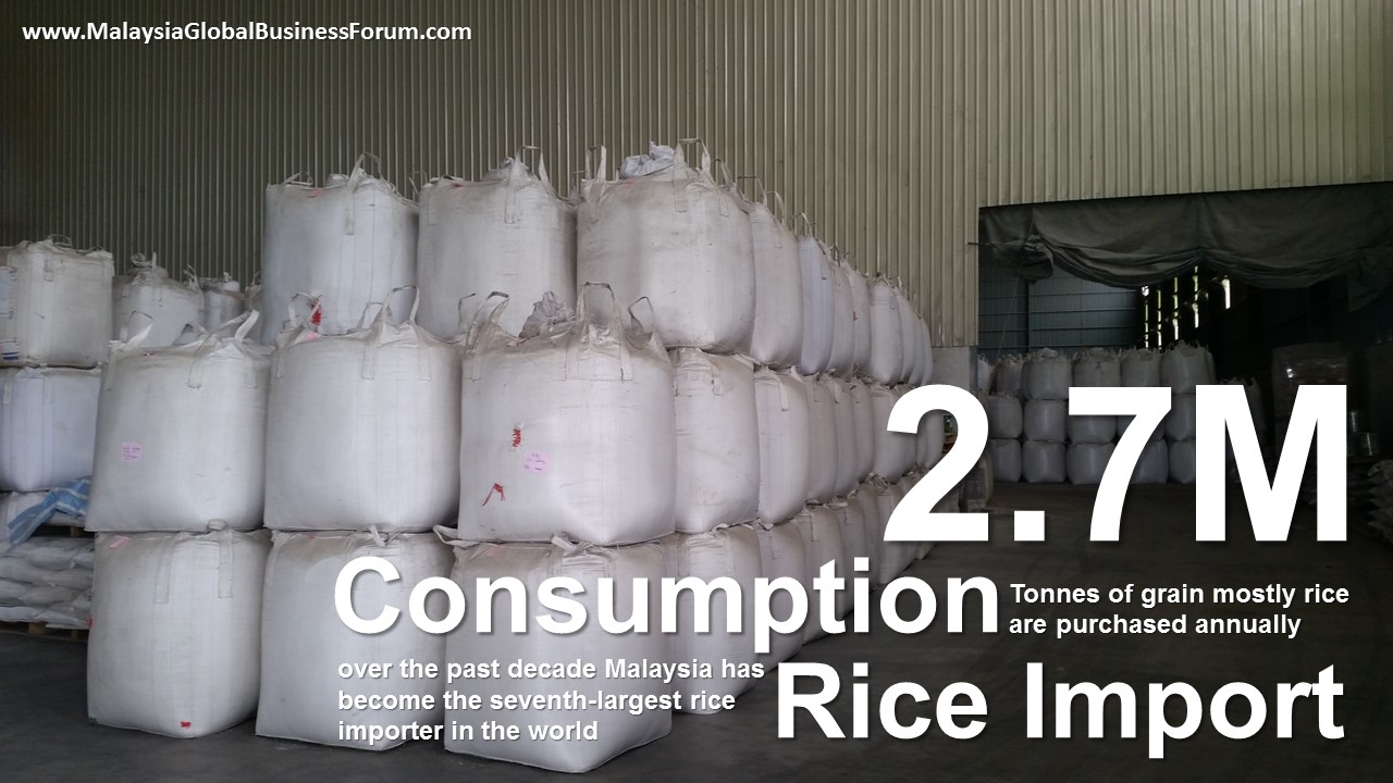 Rice Consumption in Malaysia | News Hub Asia