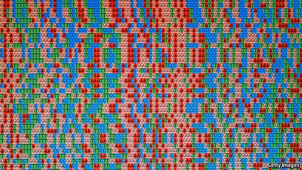 All about the base | News Hub Asia