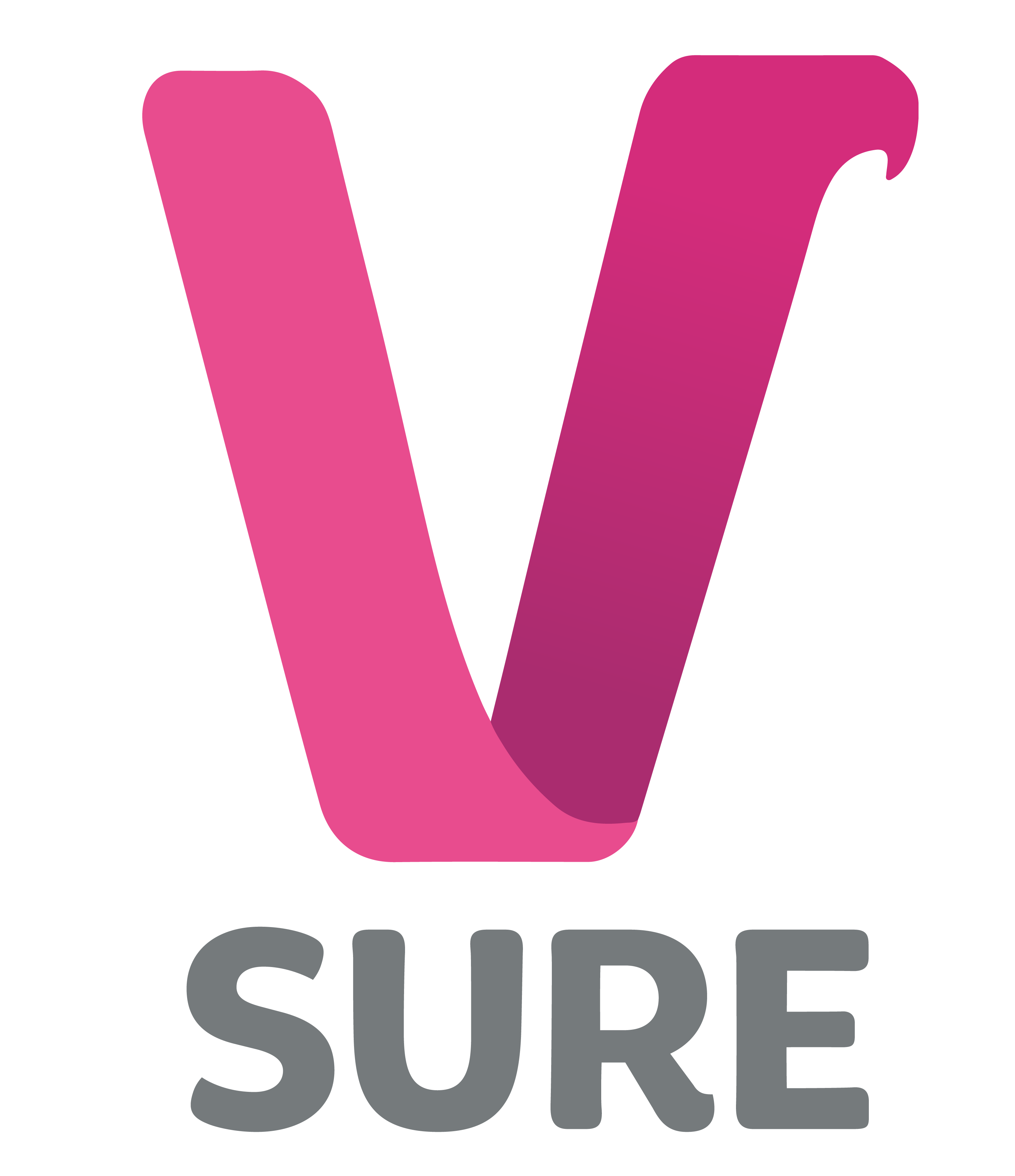 Vsure Logo-01 | News Hub Asia