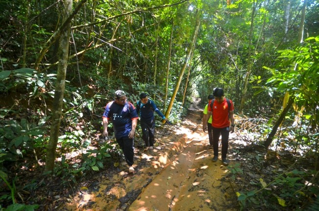 jungle trekking | News Hub Asia