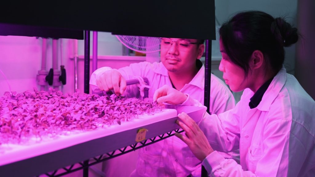 SMART researchers develop groundbreaking nanosensor for real-time iron ...