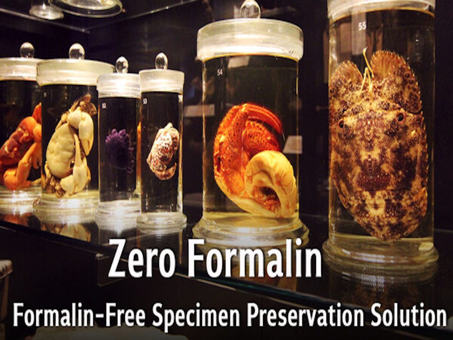 Zero Formalin specimen preservation solution for formalin-free classrooms